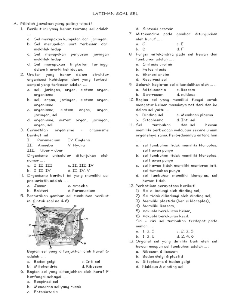 Latihan Soal Sel | PDF