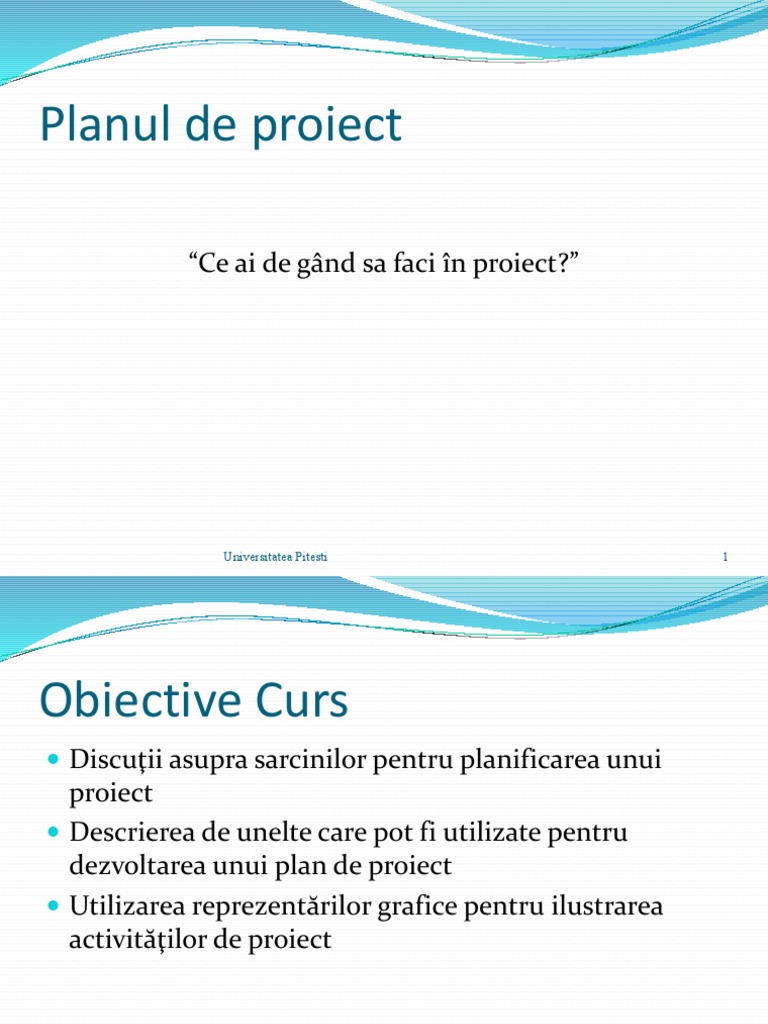 4 Planificarea Proiectului | PDF