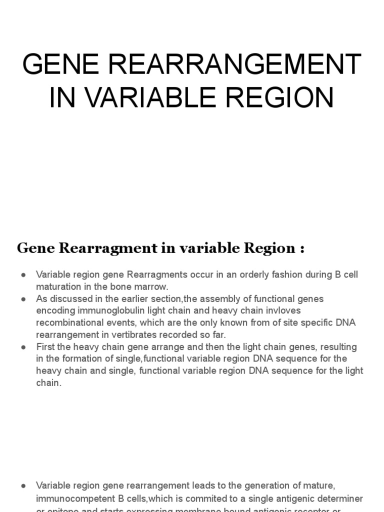 Gene Rearrangement in Variable Region | PDF | Antibody | Gene