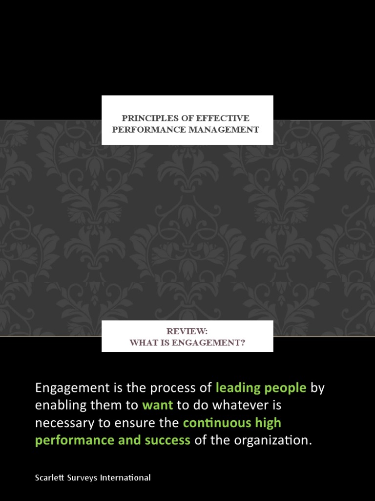 Principles Effective Performance Management | PDF