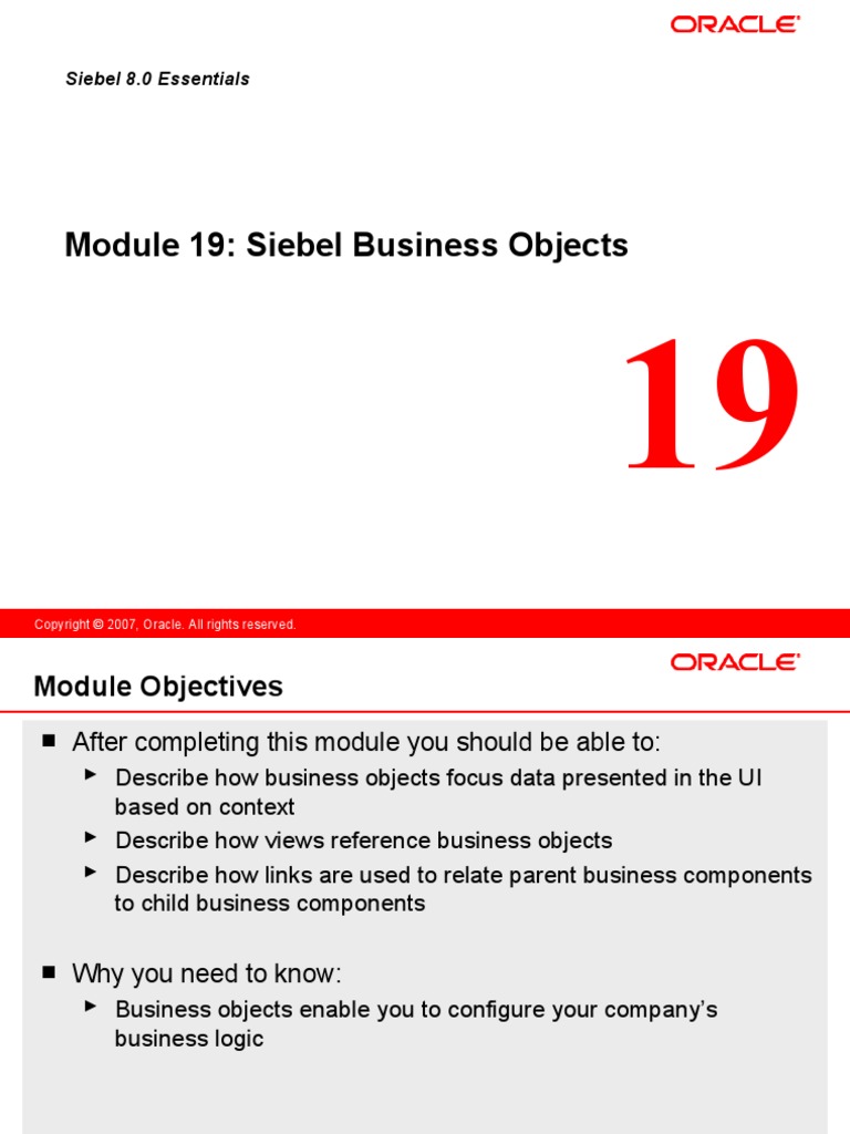 Module 19 Siebel Business Objects Pdf Computer Science Data