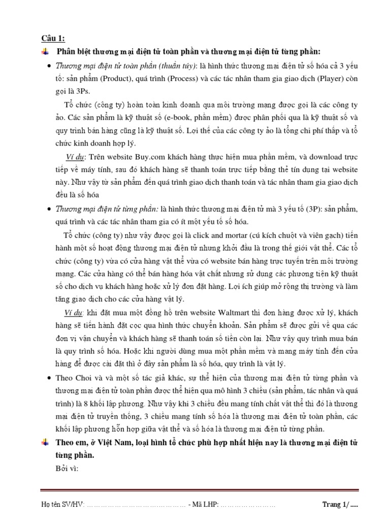 Thi Hp Thương Mại Điện Tử | PDF