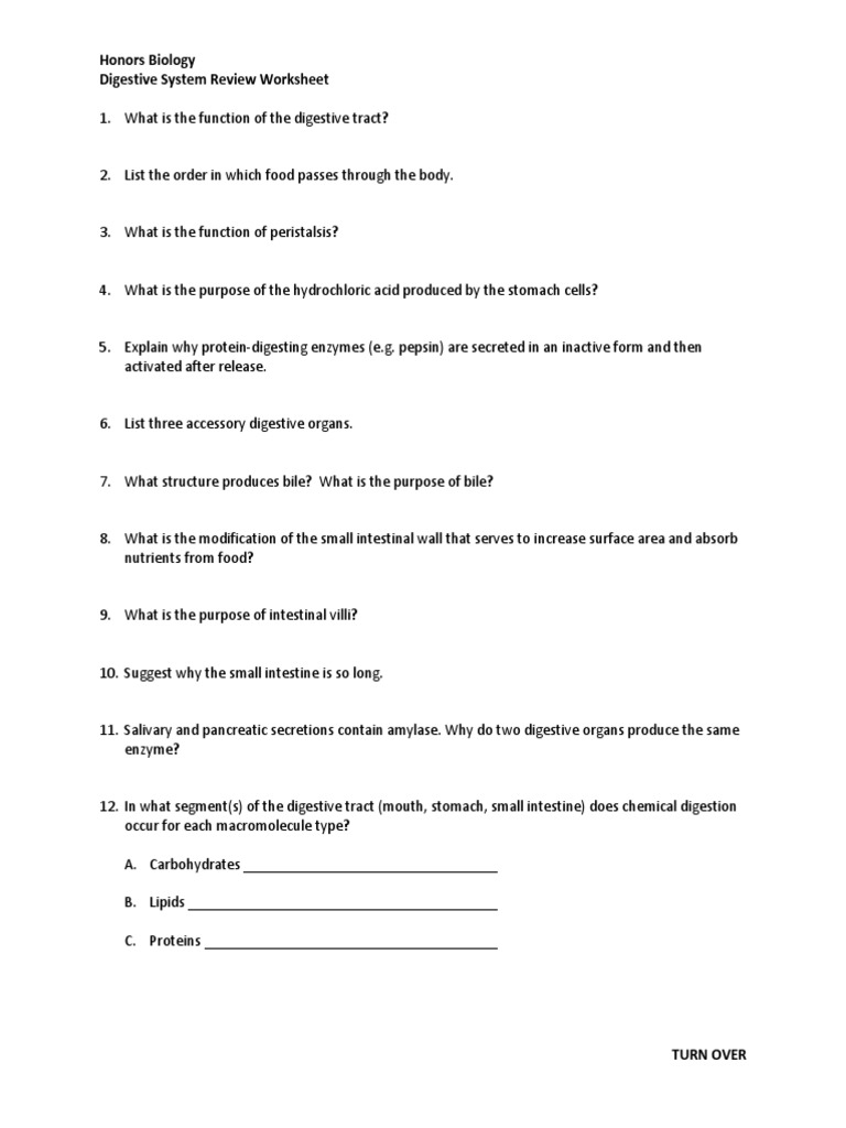 Honors Biology Digestive System Review Worksheet PDF Human 