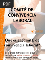Acta de Conformación de Comité de Convivencia Laboral | PDF | Gobierno