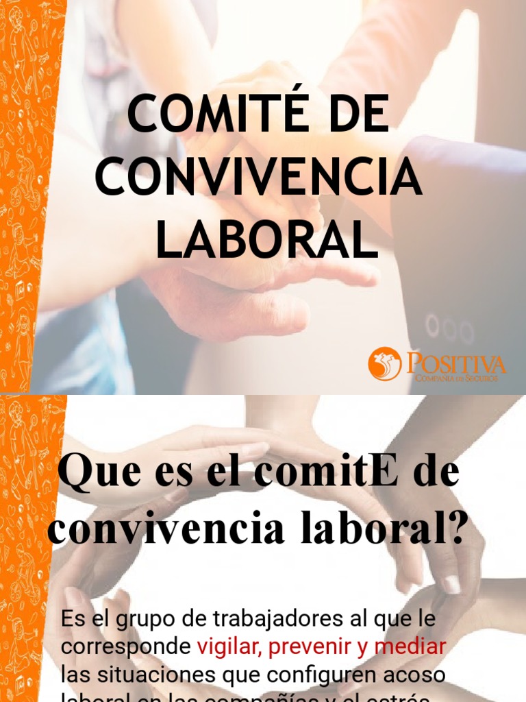 Comité de Convivencia Laboral: Funciones y Objetivos | PDF | Etica ...