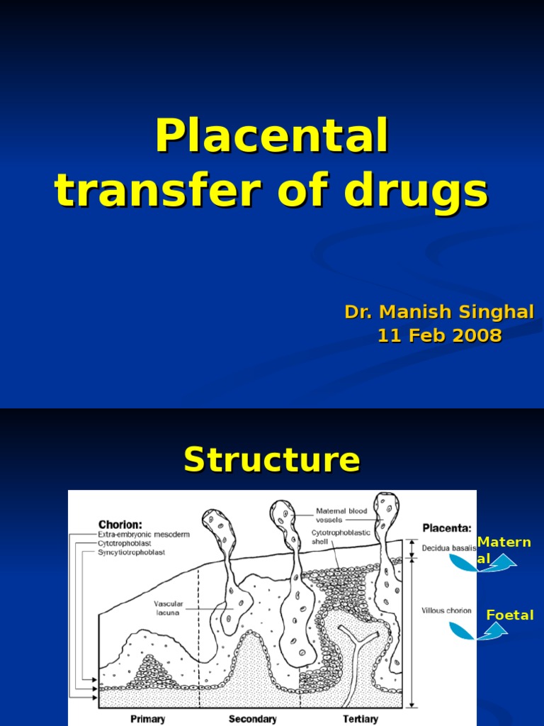 Placental Transfer of Drugs | PDF | Placenta | Drugs