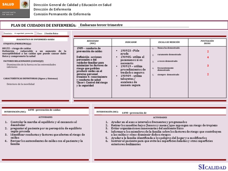 PLACE Embarazo 3er Trimestre | PDF | Riesgo | Enfermería