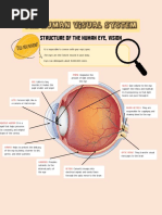 Myopia | PDF | Myopia | Human Eye