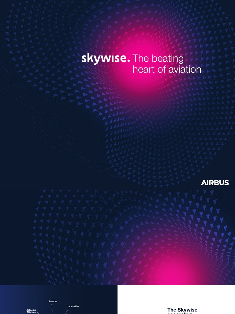 Skywise Brochure 2019 | PDF