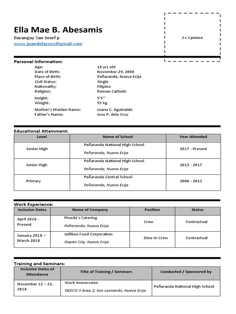 Immersion Resume Format | PDF