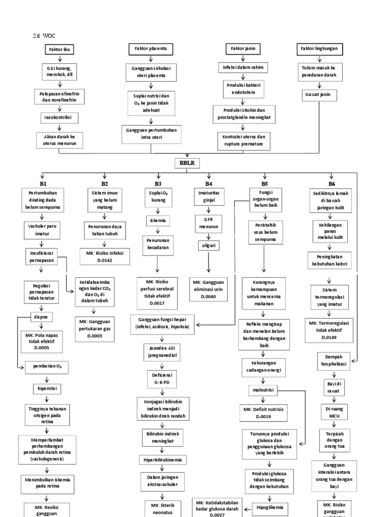 Woc BBLR | PDF | Medical Specialties