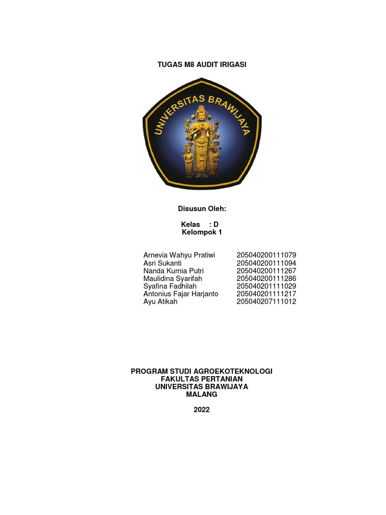 Tugas M8 Audit Irigasi | PDF