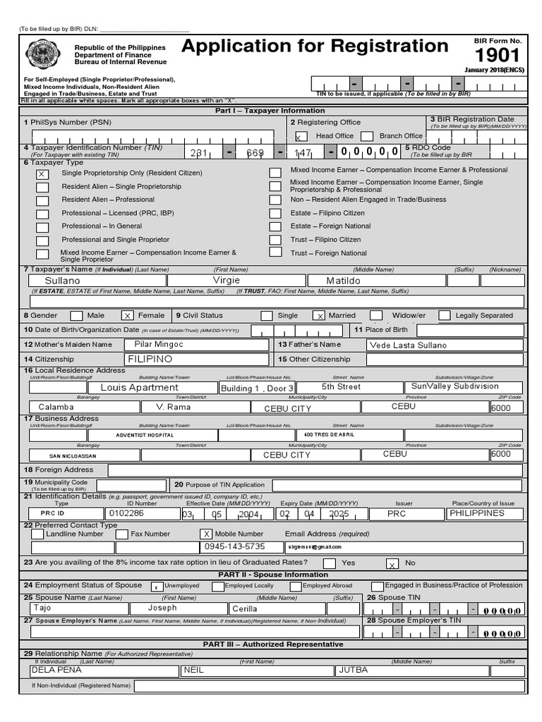 1901 Bir Form New Business Sole App - Form | PDF | Taxes | Sole Proprietorship