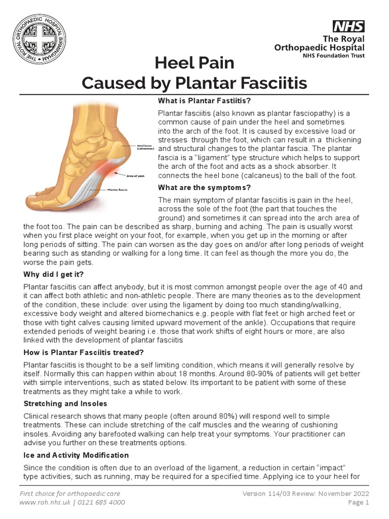 114 Heel Pain V3 | PDF | Foot | Clinical Medicine