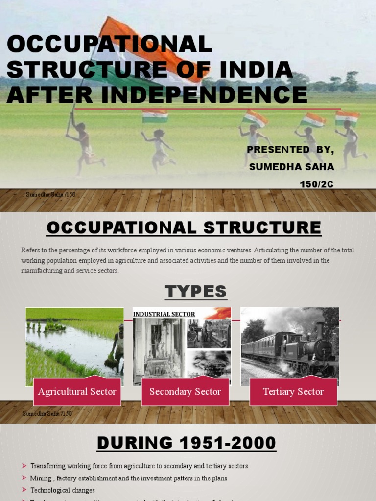 Occupational Structure of India After Independence | PDF | Workforce ...