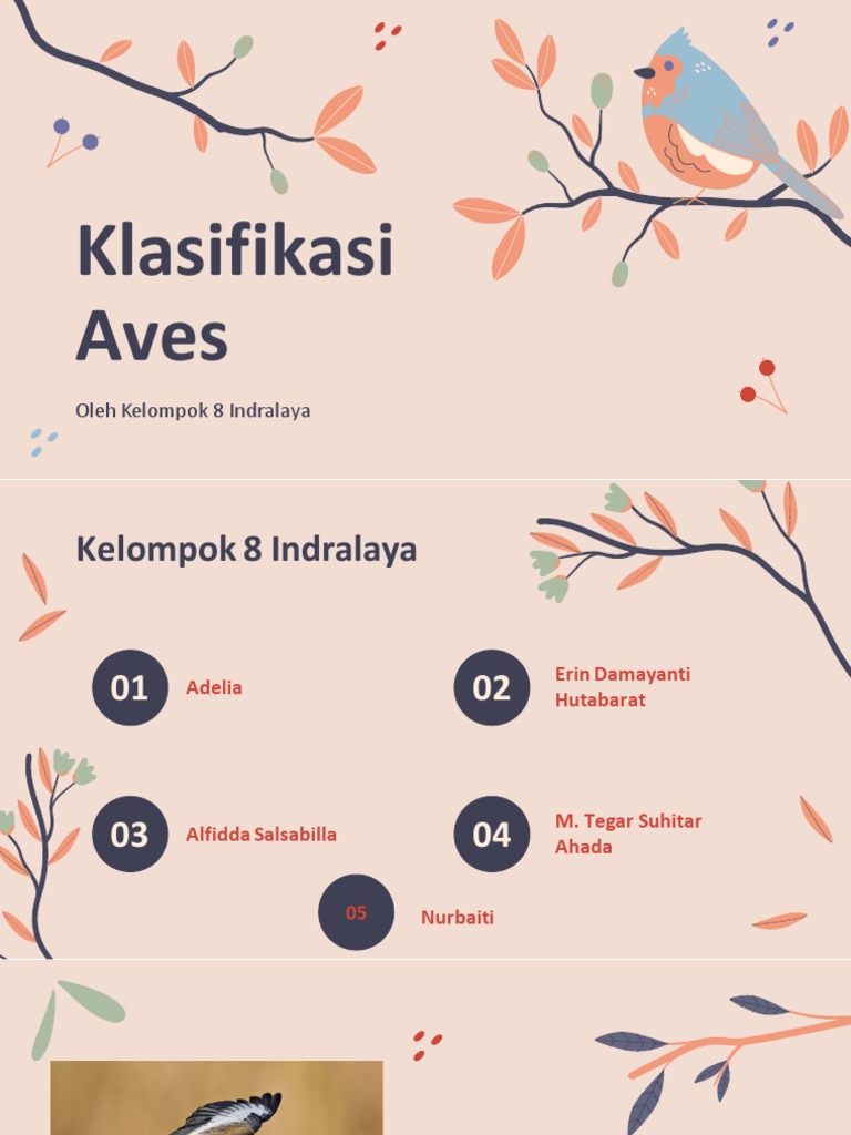 Kelompok 8 Indralaya - PPT AVES | PDF