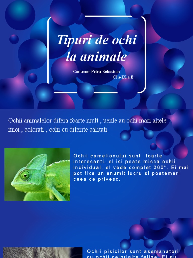 Proiect Tipuri de Ochi La Animale | PDF