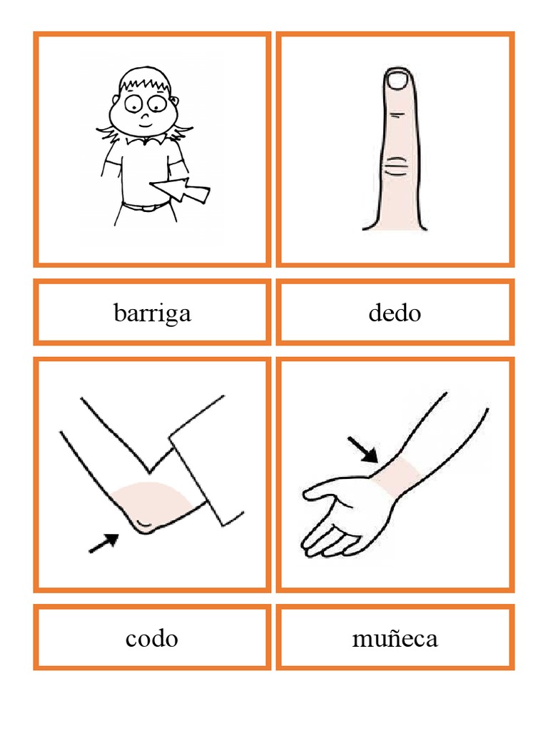 Plantilla Tarjetas de 3 Partes Montessori | PDF | Artes del Lenguaje y ...