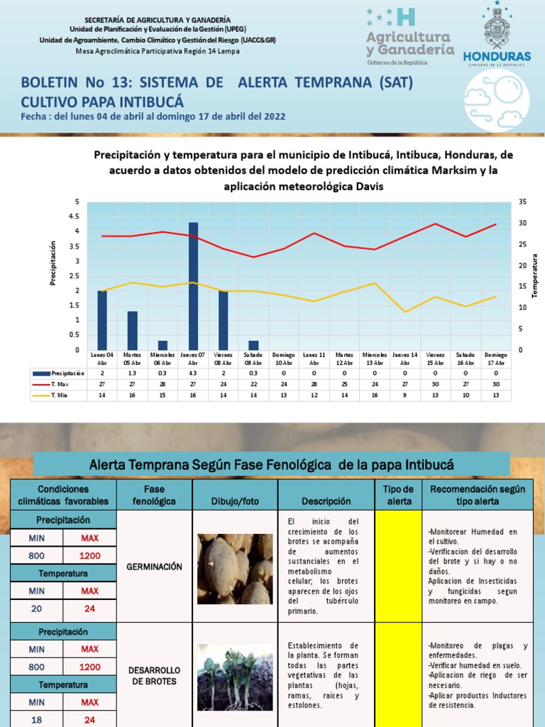 Sat - Papa - Intibuca 2022 | PDF | Patata | Agricultura