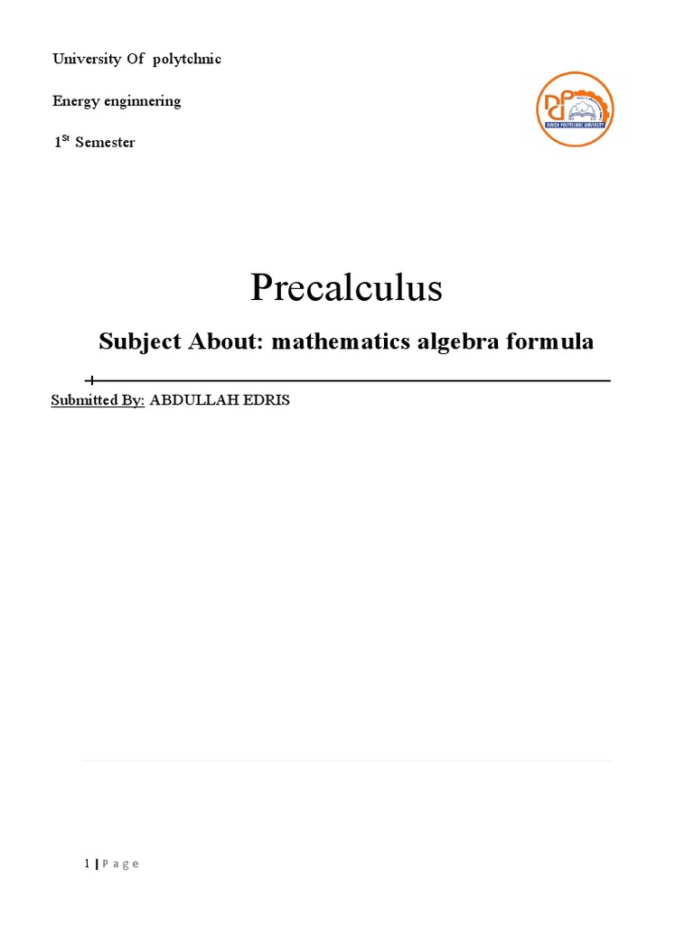 Calculus Report | PDF