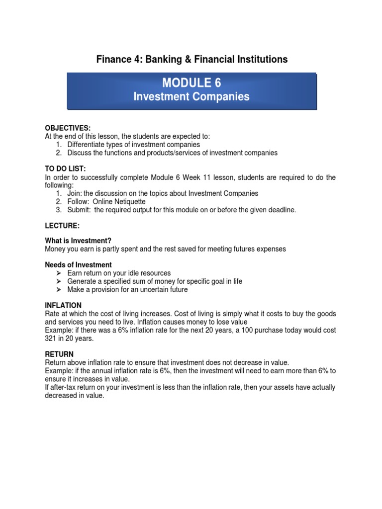 Understanding Investment Companies | PDF