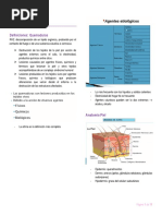 Quemaduras Faciales y Signos de Flogosis | PDF | Quemar | Inflamación