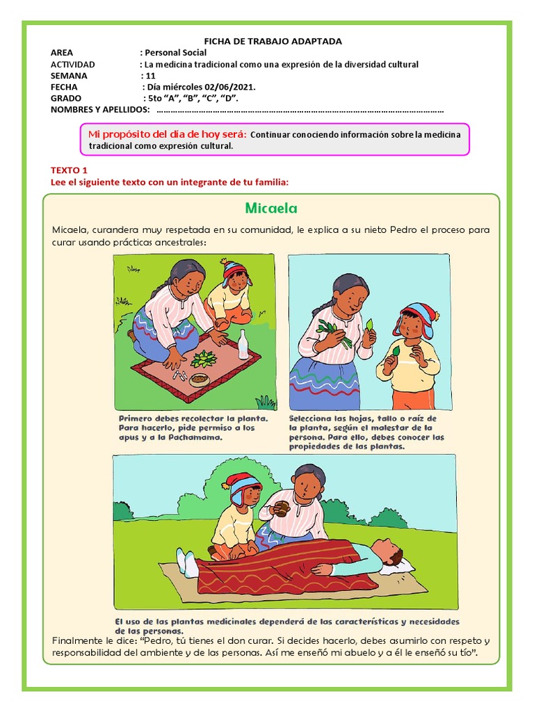 Medicina Tradicional y Diversidad Cultural | PDF | Medicina | Ciencias ...