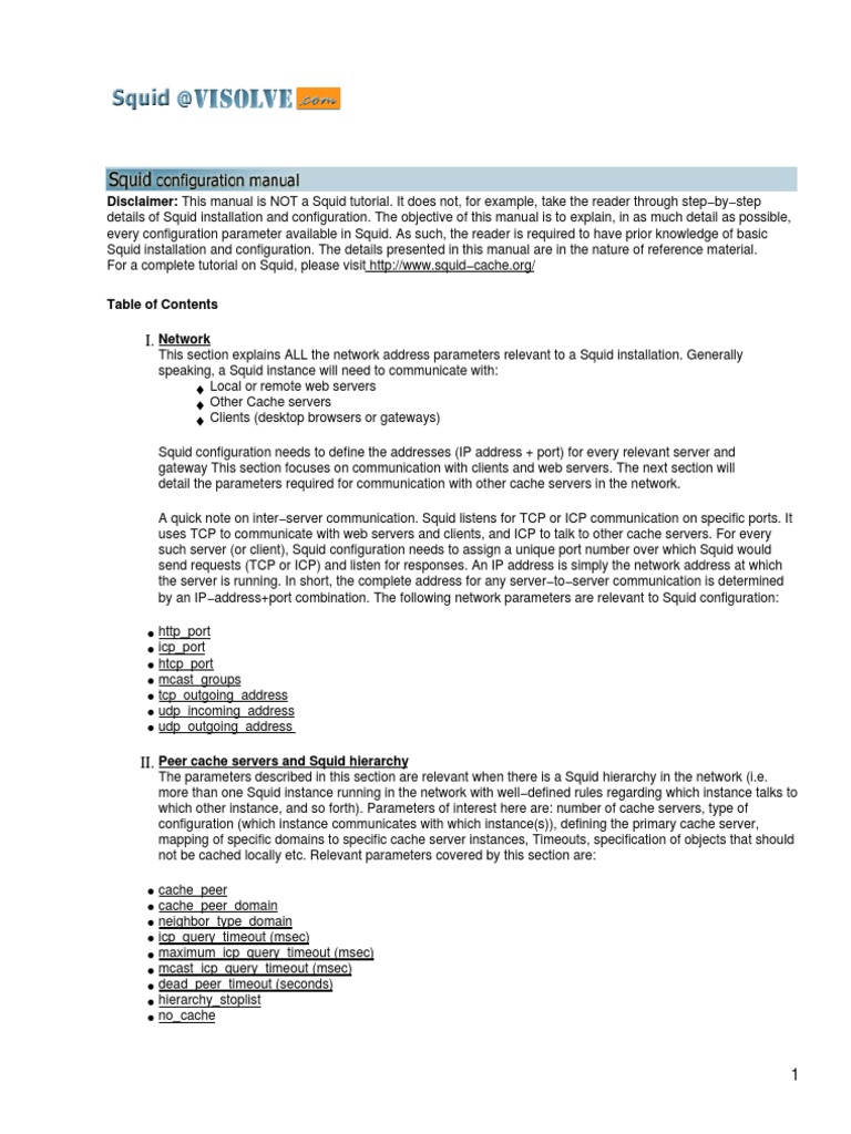 Ebook Squid Proxy Server | PDF | Port (Computer Networking) | Domain Name System