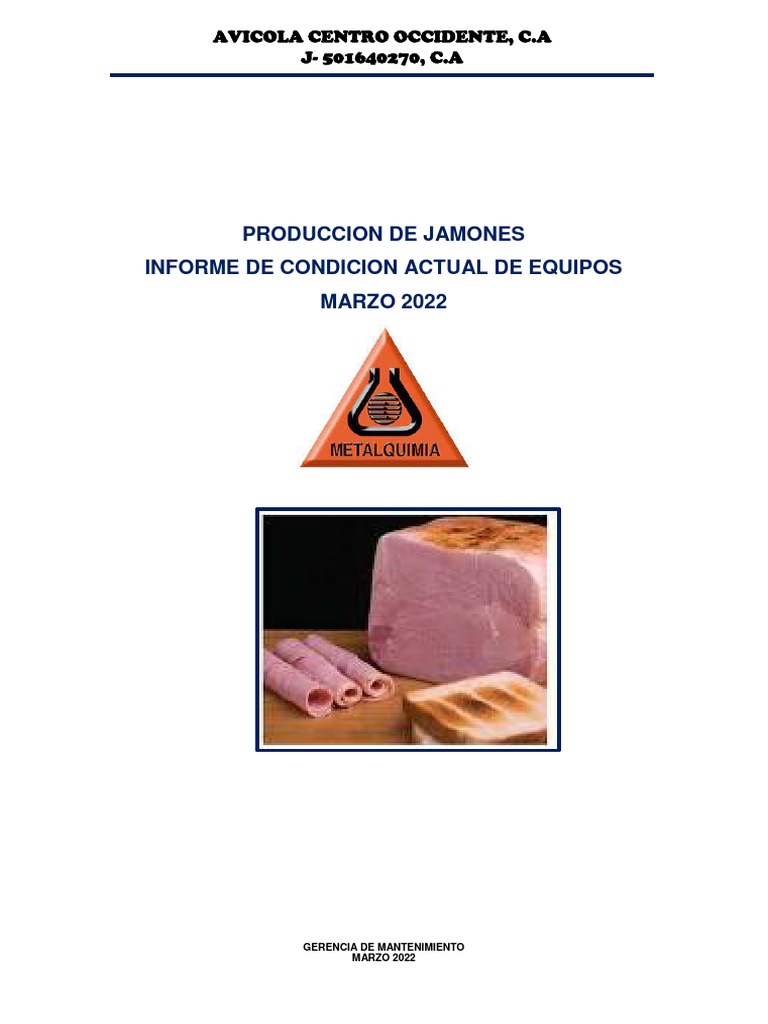 Informe Fabricacion de Jamones | PDF | Carne | Bomba