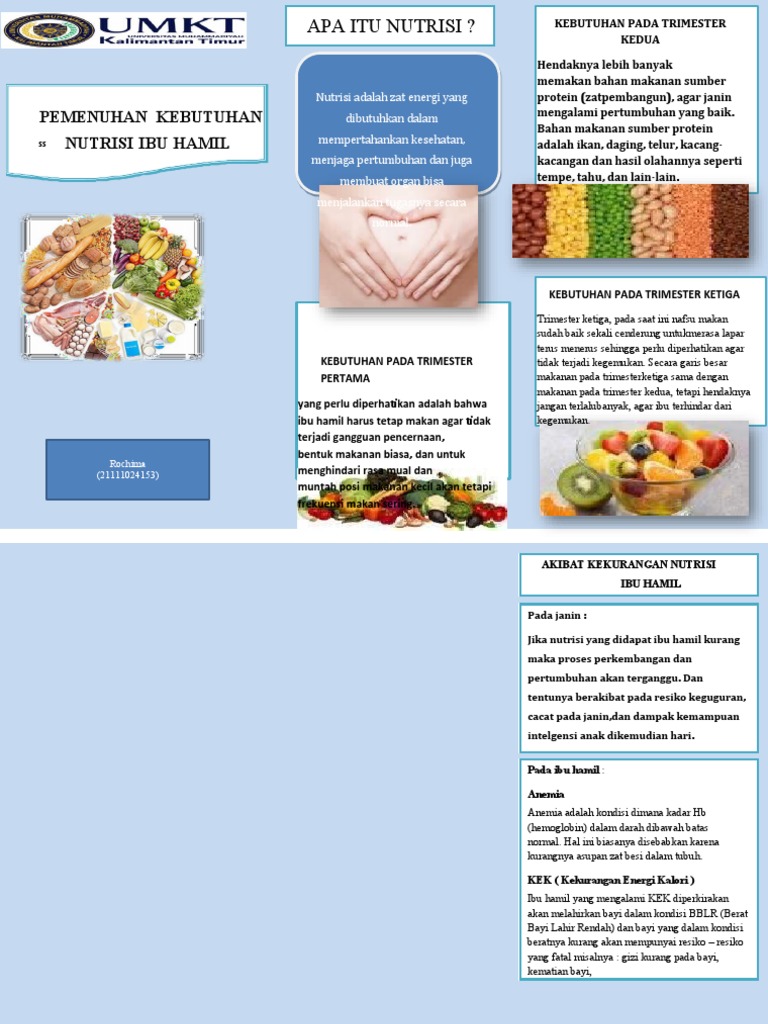 Leaflet Nutrisi Ibu Hamil | PDF
