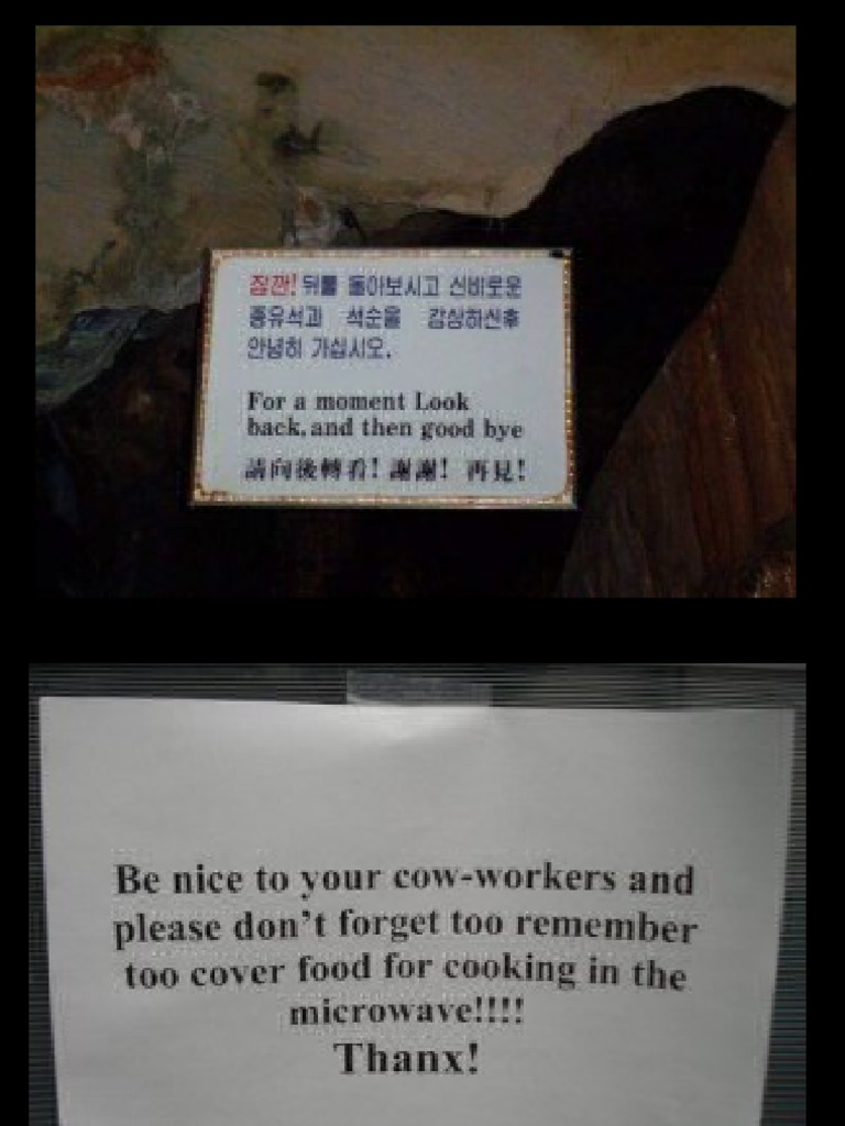 Translation Failures | PDF