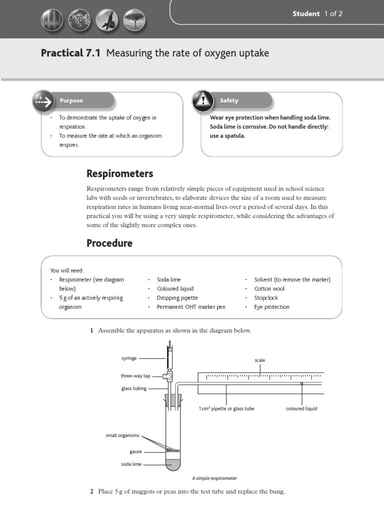 Measuring The Rate of Oxygen Uptake | PDF | Liquids | Oxygen