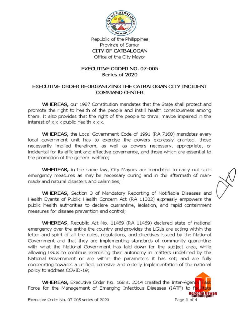 Reorganization of Catbalogan Incident Command | PDF | Epidemiology ...