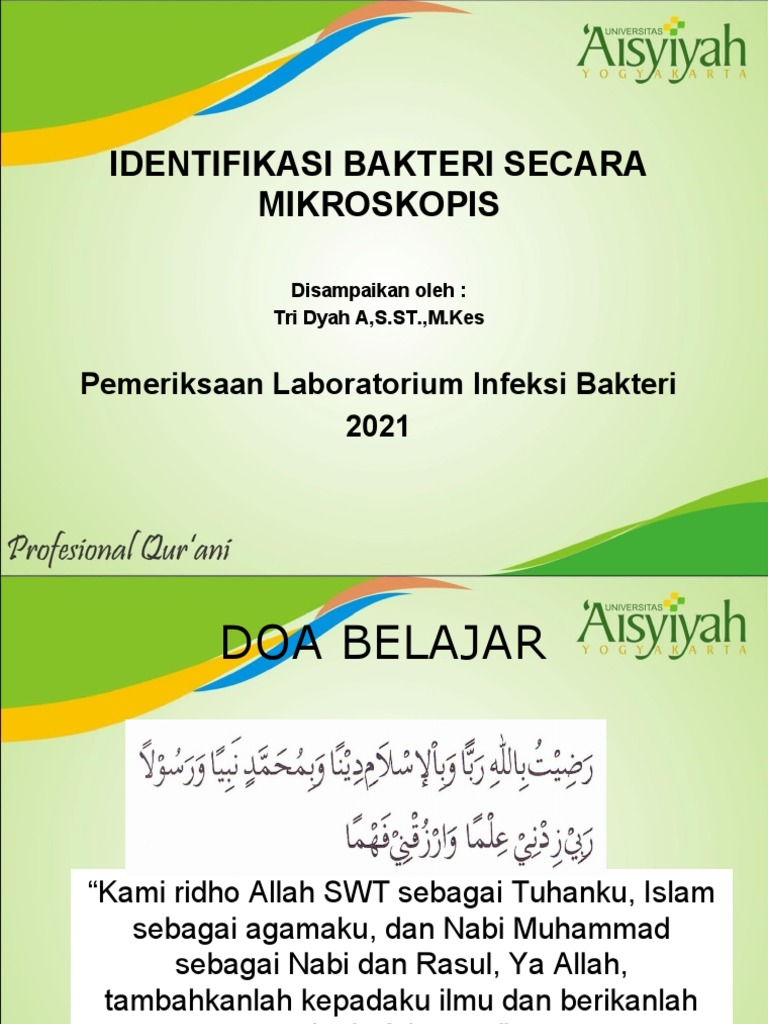 Materi Identifikasi Bakteri 2021 | PDF | Kesehatan Holistik