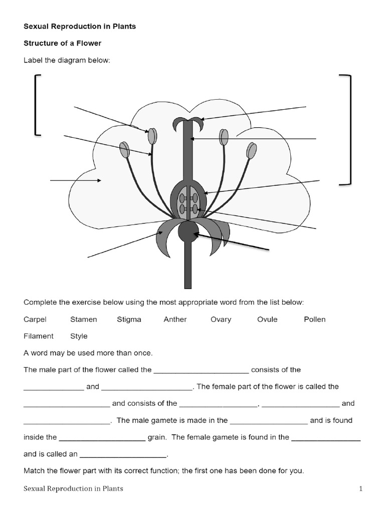 Worksheets Sexual Reproduction in Plants | PDF