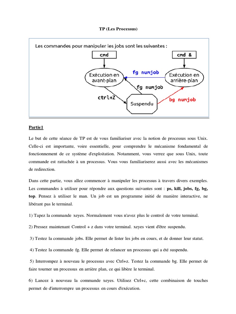 TP Processus | PDF | Ordinateurs | Technologie et ingénierie