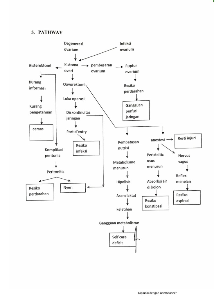 Pathway Kista Ovarium - 1 | PDF