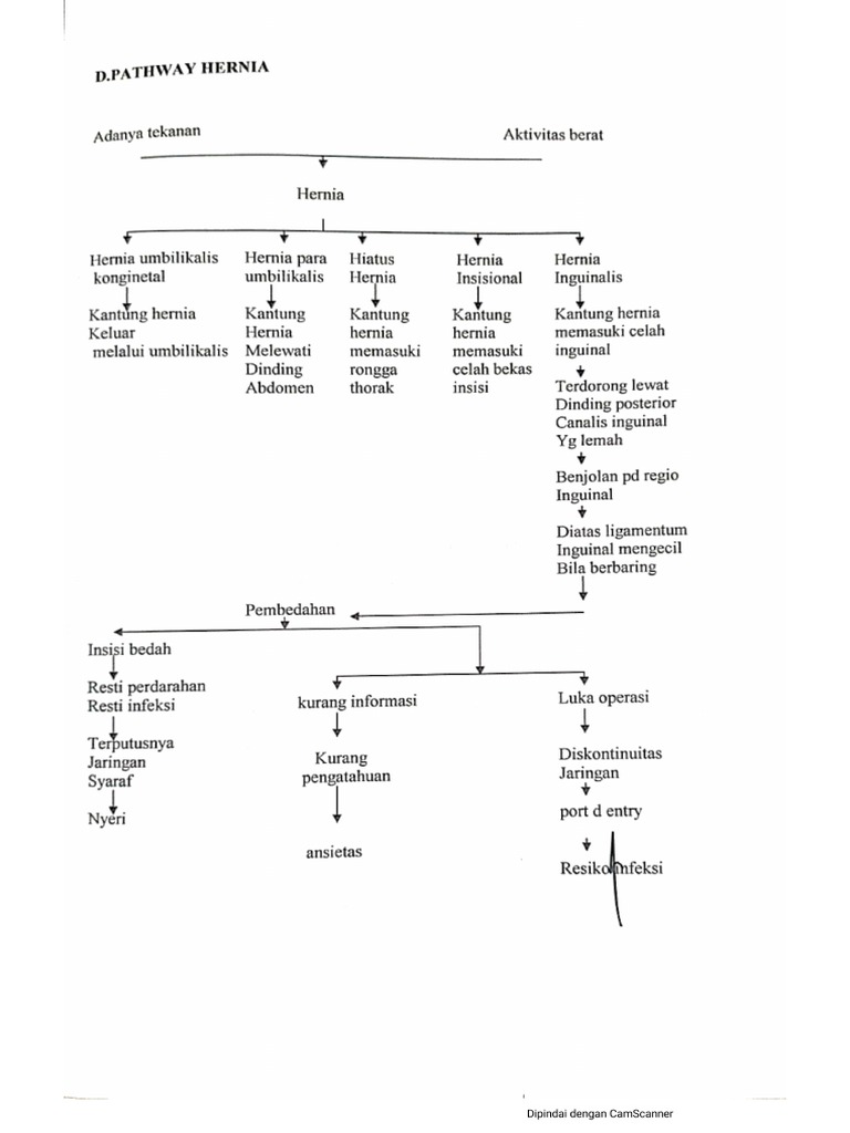 Pathway Hernia Ingguinalis | PDF