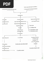 Pathway Kista Ovarium - 1 | PDF