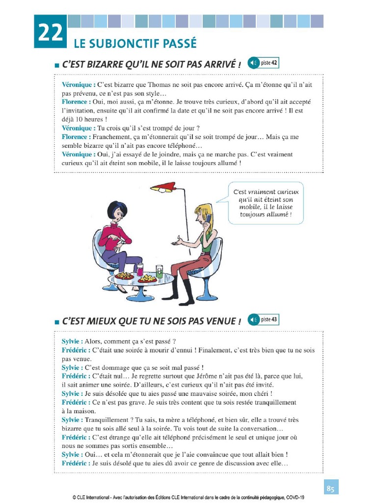 Le Subjonctif Passé | PDF