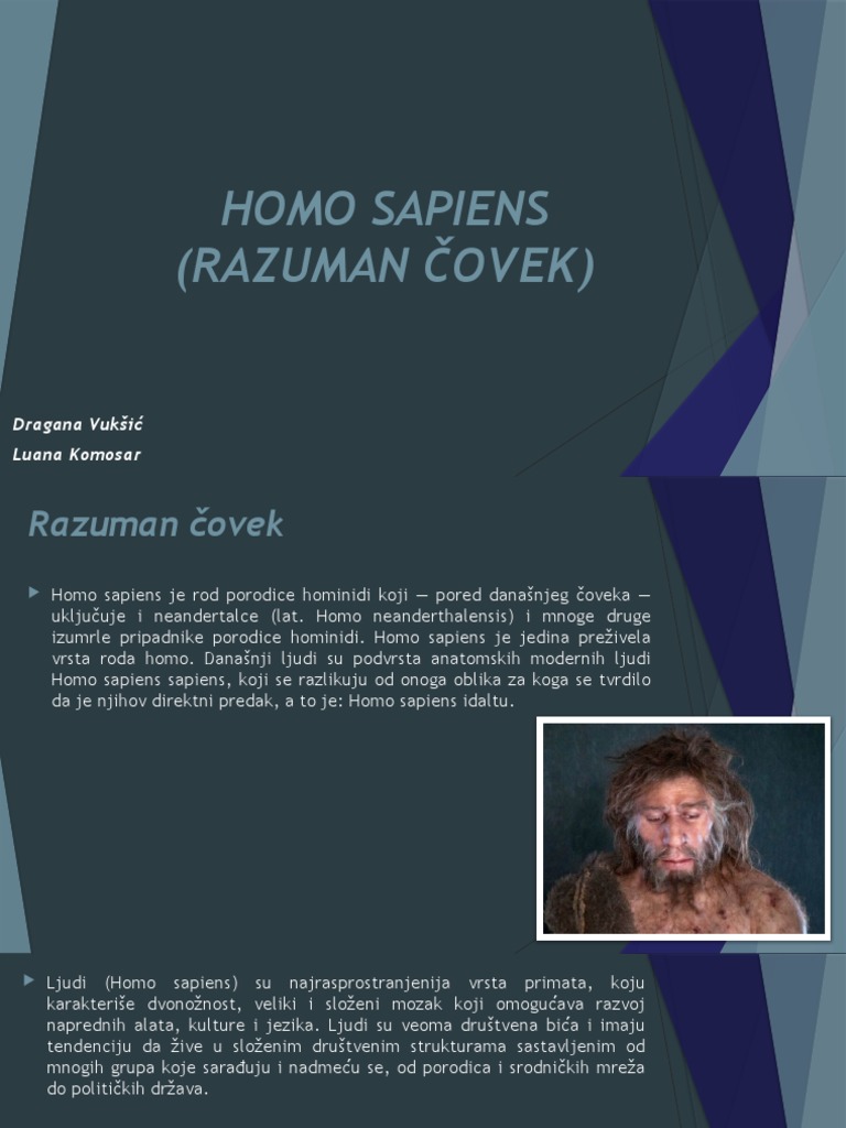 Homo Sapiens | PDF