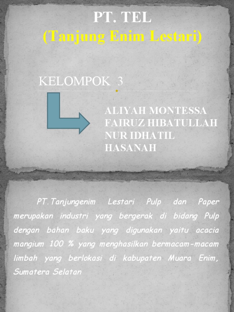 PT Tel | PDF