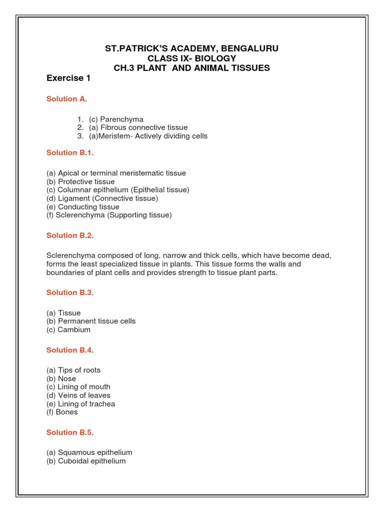 CH.3 PLANT AND ANIMAL TISSUES Class 9 Notes Icse | PDF | Tissue ...