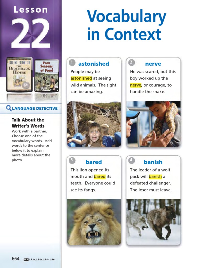 Lesson 22 The Birchbark House | PDF