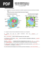 Cronograma de La Teoria Celular | PDF | Biología Celular) | Nucleo celular