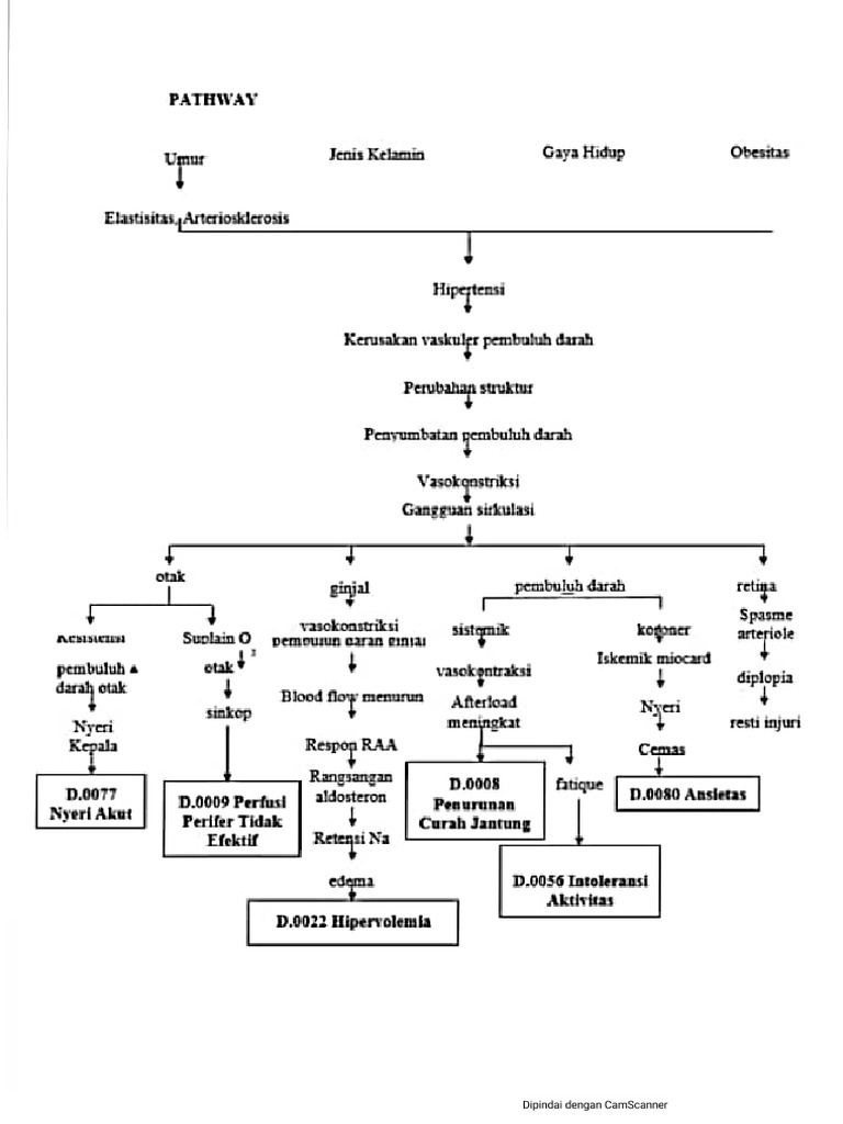 Pathway Hipertensi | PDF