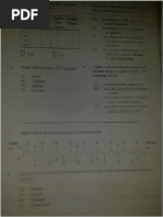 Lest You Forget Adjustments To Emancipation | PDF