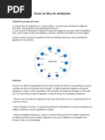 Essai Au Bleu de Méthylène (NF EN 933-9) | PDF | Adsorption | Masse