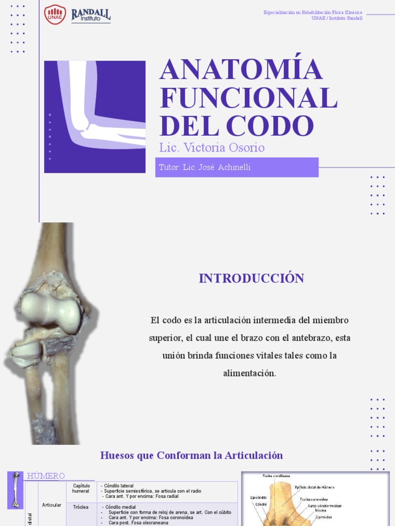 Art. Codo - Victoria Osorio - 3 | Descargar gratis PDF | Codo ...
