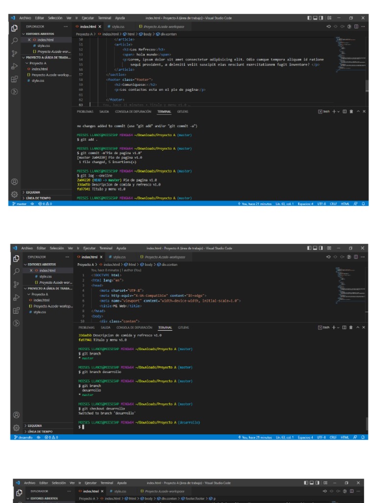 Practica en Git Bash | PDF
